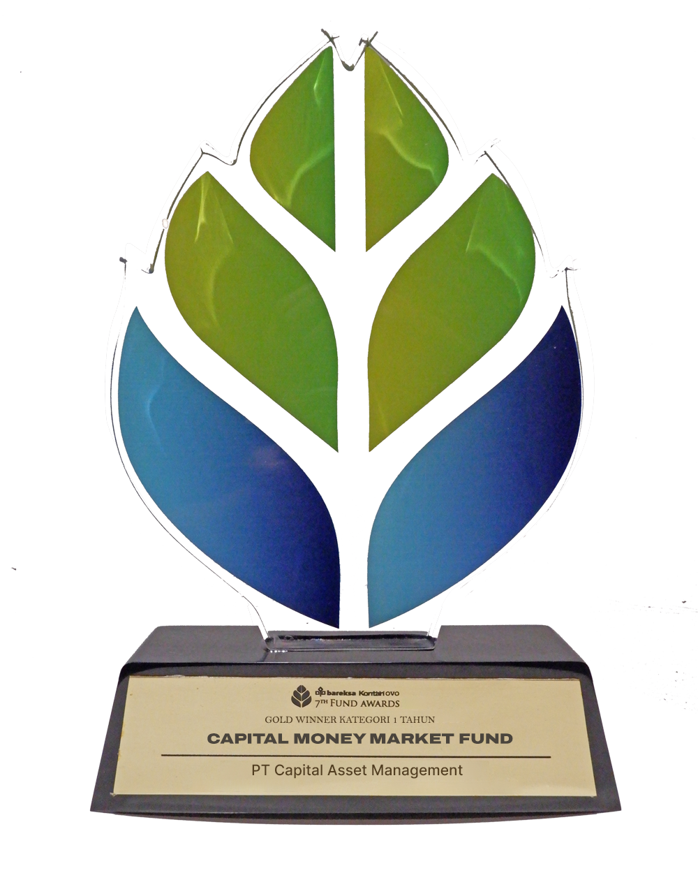 CAPITAL ASSET MANAGEMENT